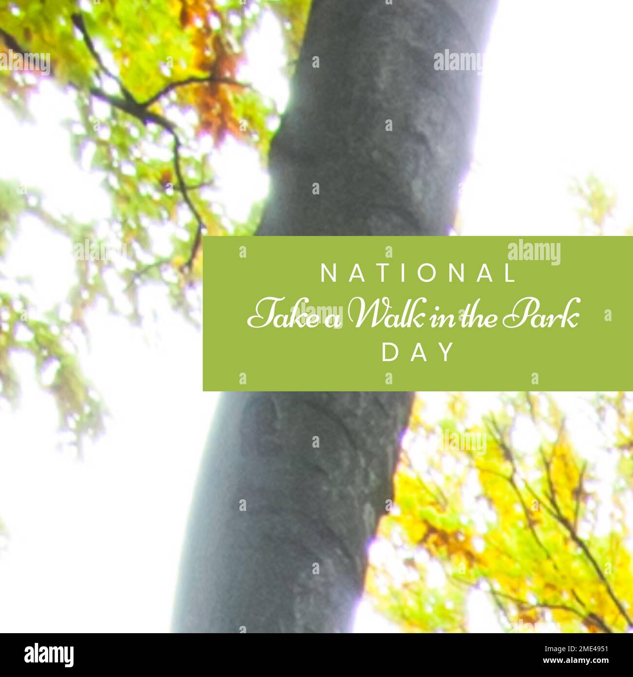 Composite of national take a walk in the park day text in green ...
