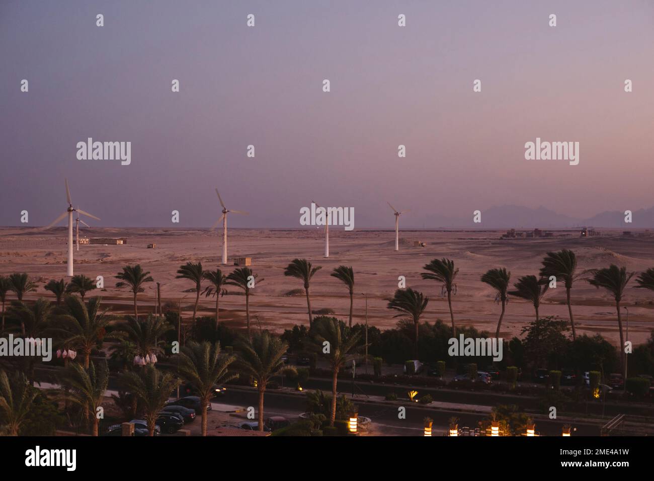 Egypt, Palm trees along desert road with wind farm in background Stock ...