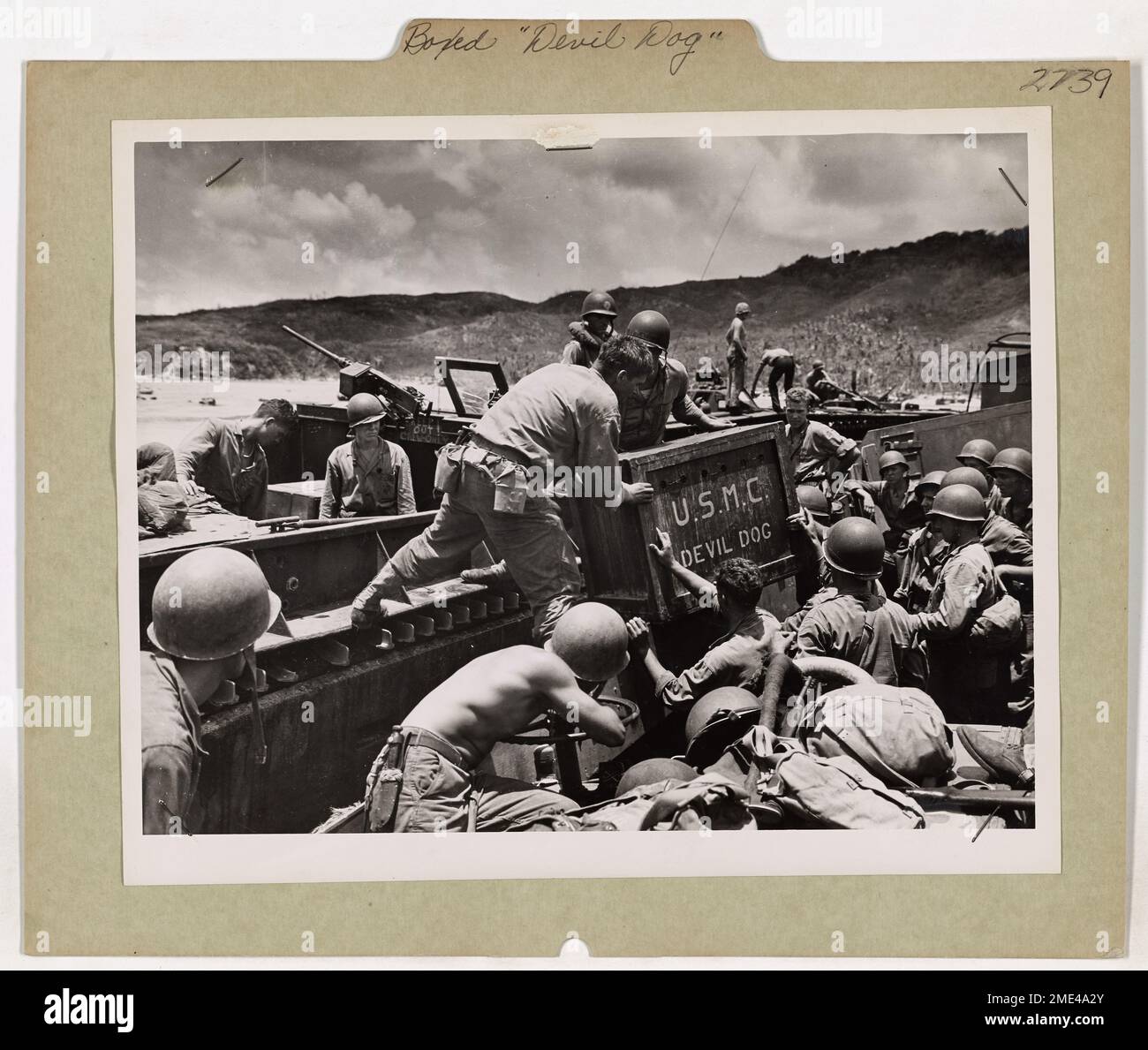 Coast Guardsmen and Marines carefully transfer a war dog, also known as ...