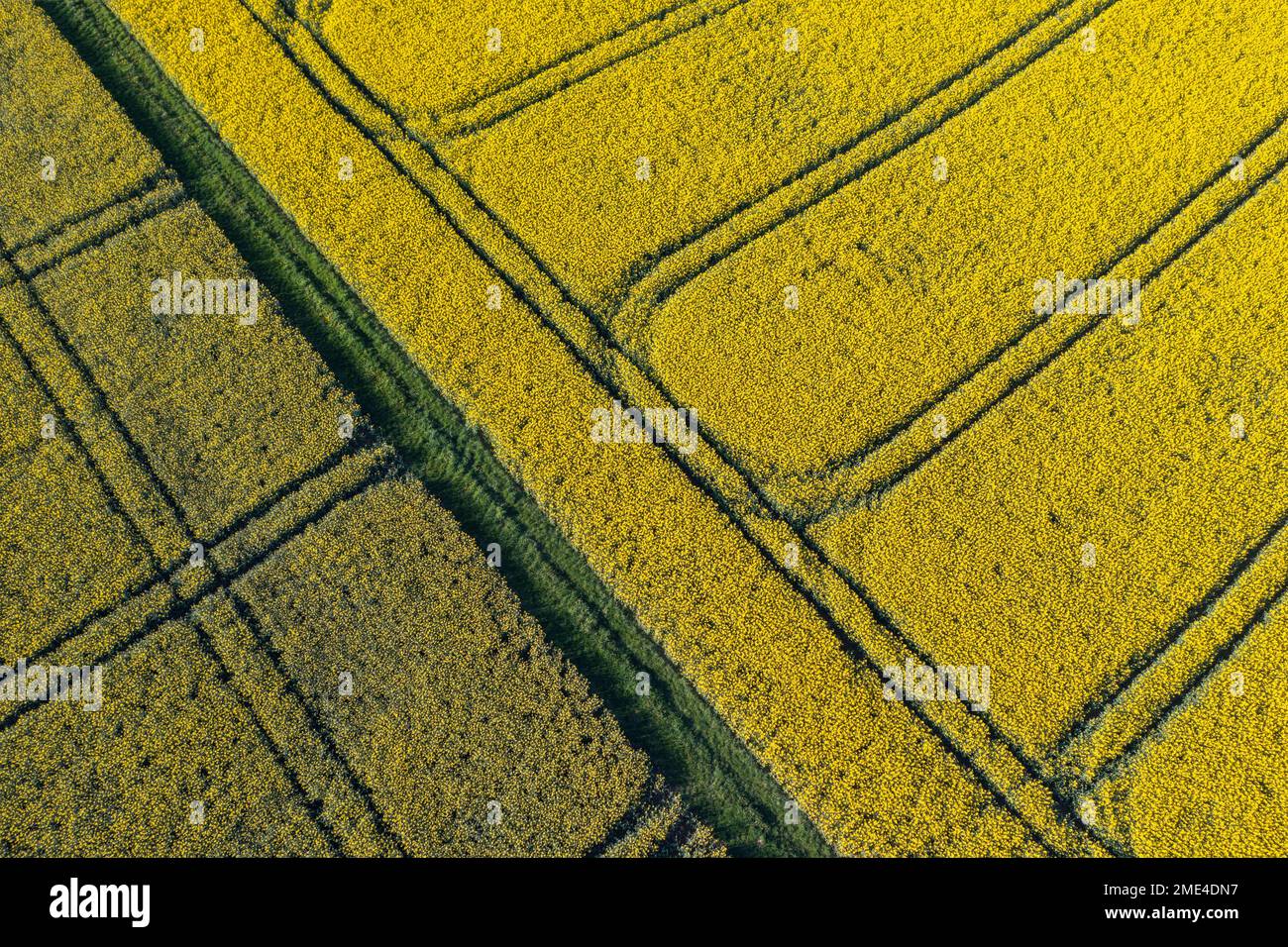 Germany, Baden-Wurttemberg, Aerial view of vast oilseed rape field in ...