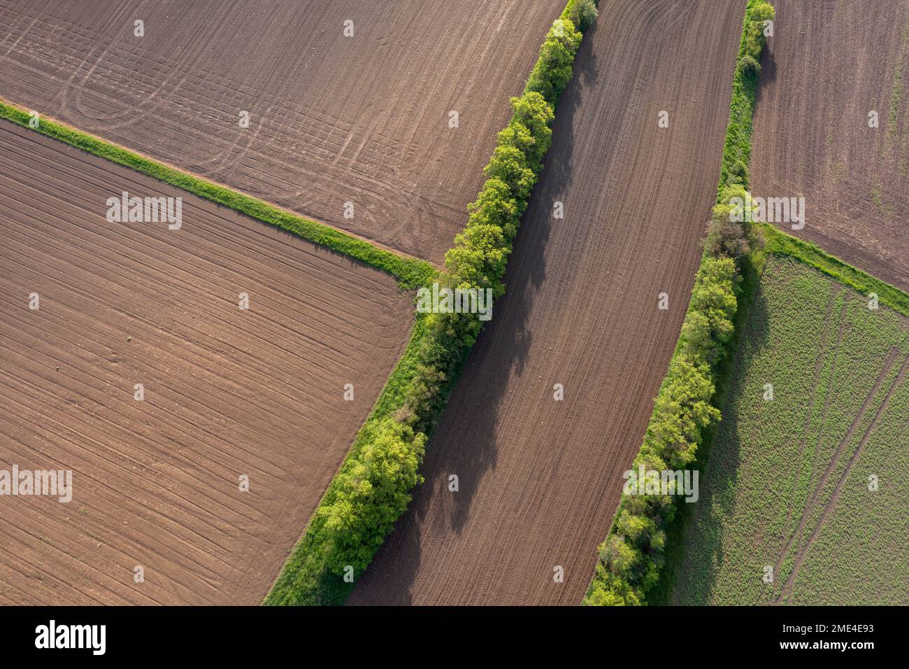 Aerial view of windbreaks protecting plowed fields in spring Stock ...
