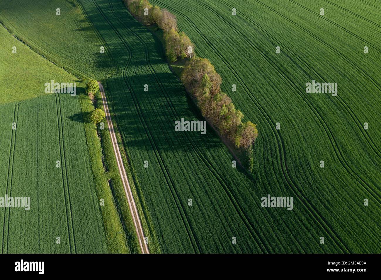 Germany, Bavaria, Aerial view of green countryside fields in spring ...