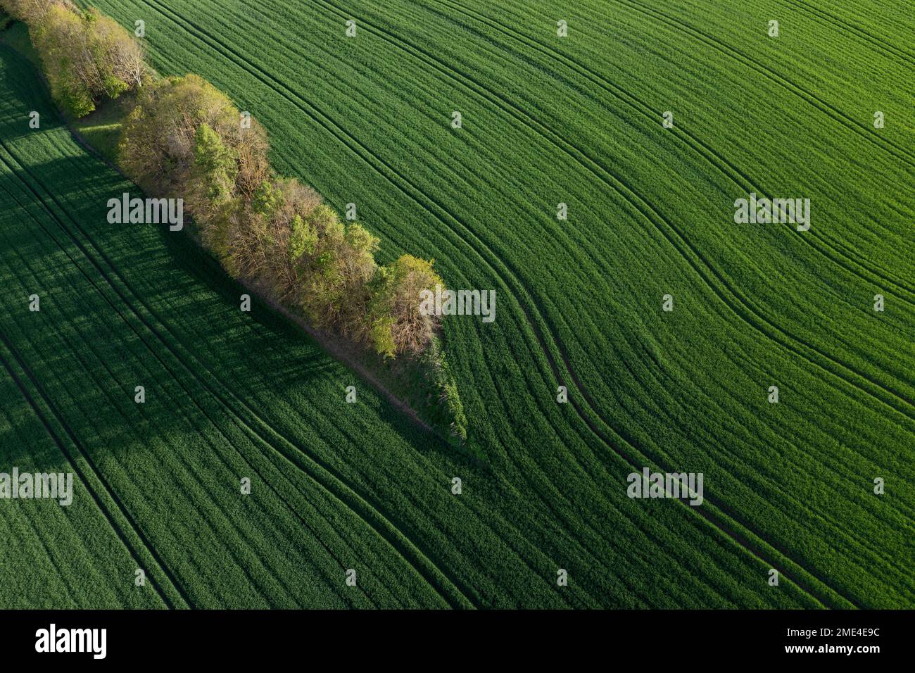 Germany, Bavaria, Aerial view of green countryside fields in spring ...
