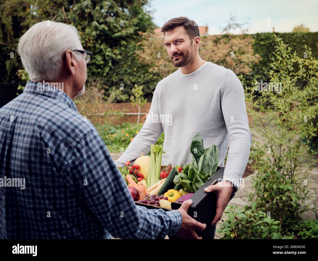 Man delivering a fresh vegetable box to senior man in garden Stock ...