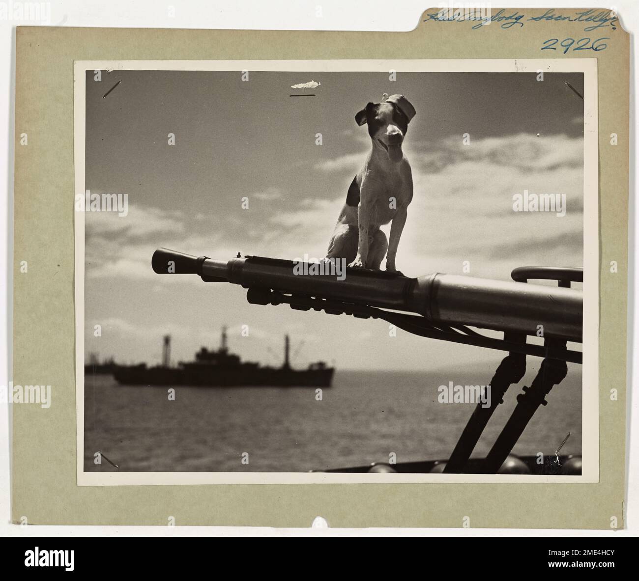 The mascot of a Coast Guard-manned invasion transport, ‘H.E. (High ...