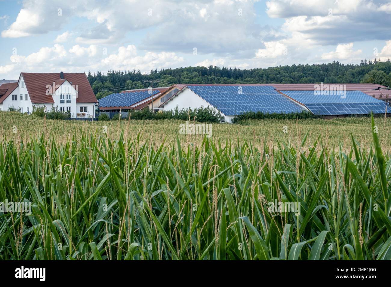 Countryside field rural houses equipped solar panels background hi-res ...