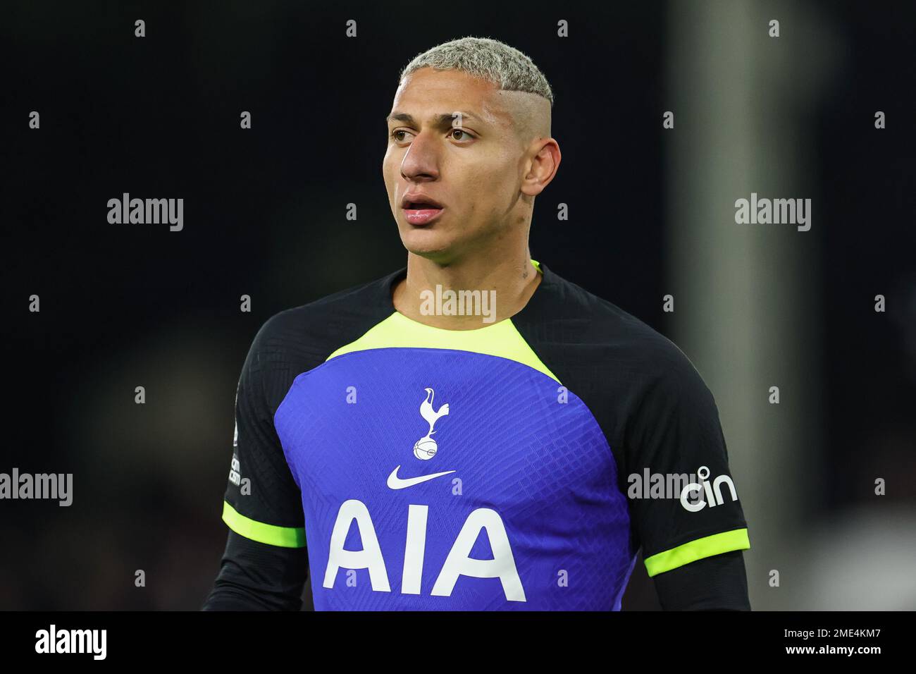 Richarlison #9 of Tottenham Hotspur during the Premier League match ...