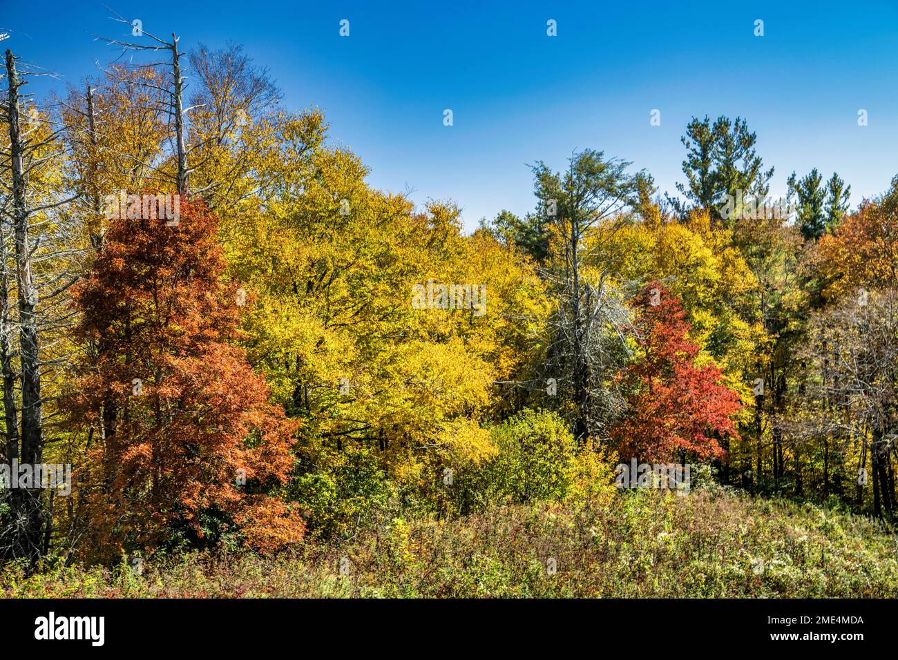 View from the Moses Cone Overlook in autumn on the Blue Ridge Parkway ...