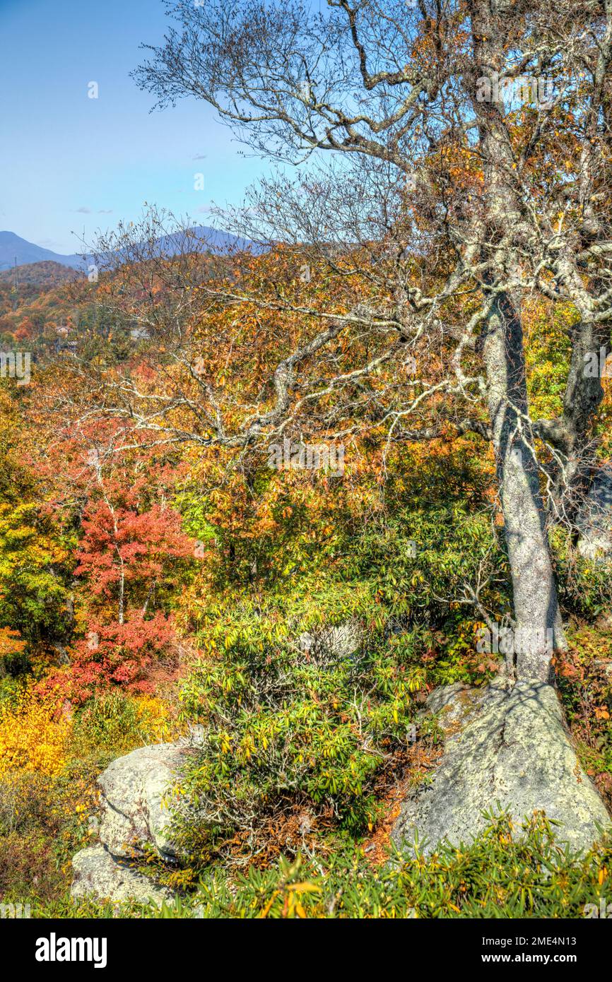 Autumn along the Raven Rock Overlook on the Blue Ridge Parkway near ...