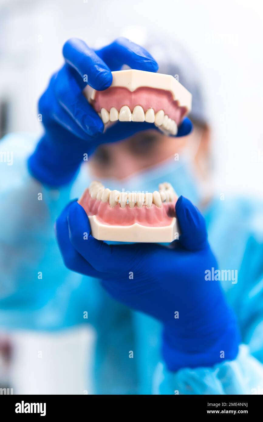 Hands of dentist with prosthetic teeth at clinic Stock Photo - Alamy