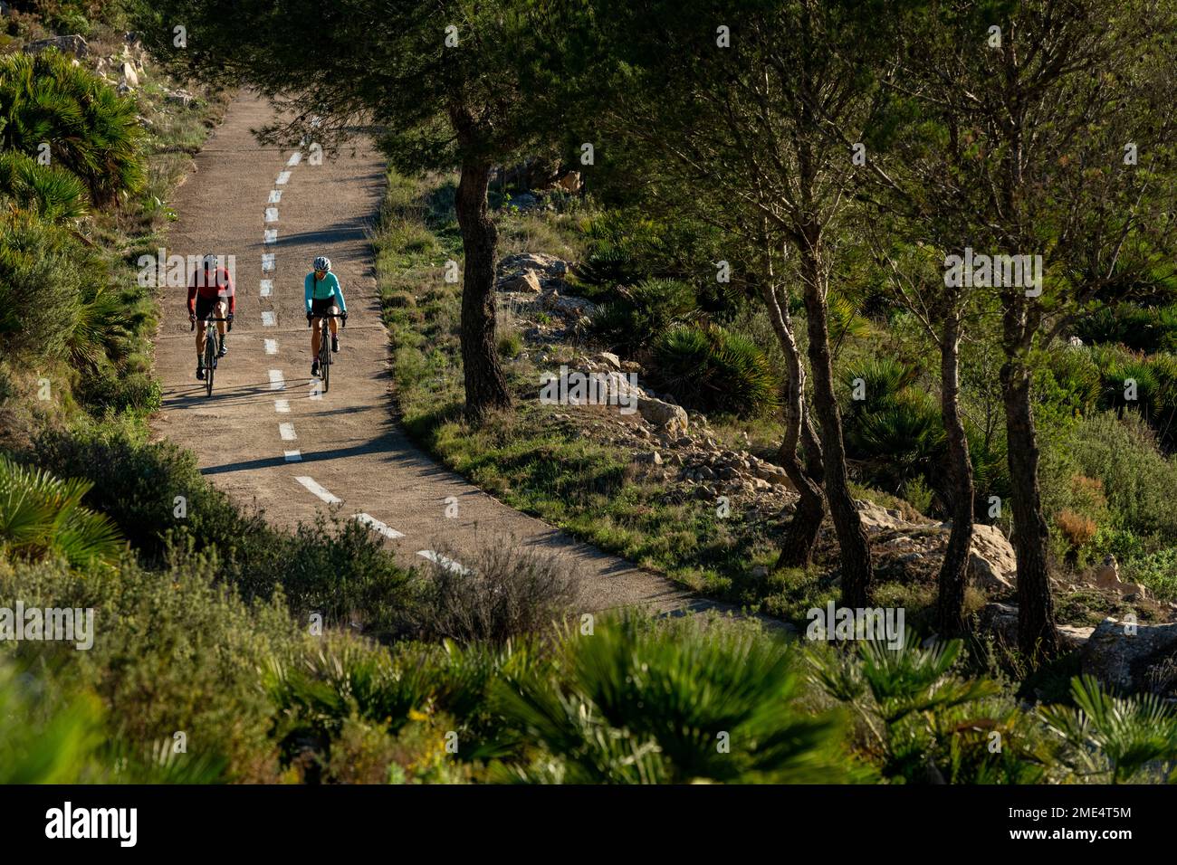 Cyclists riding cycles together on mountain road by trees Stock Photo ...