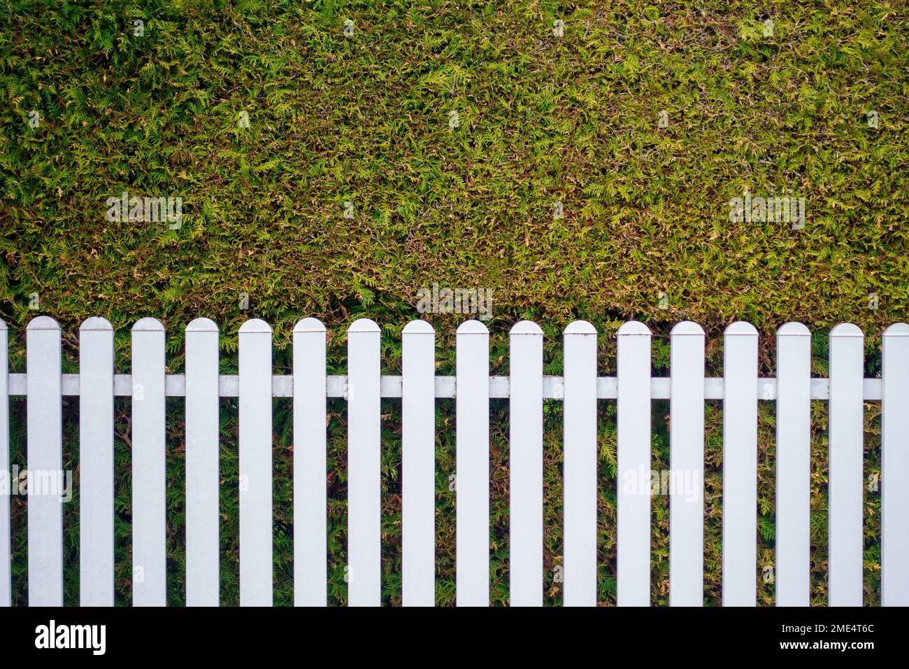 Garden hedge fence boundary hi-res stock photography and images - Alamy