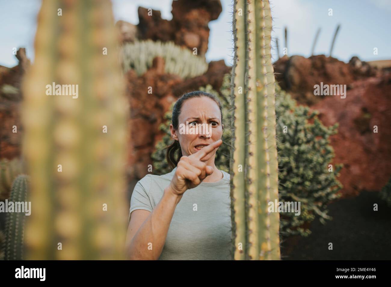 Woman touching cactus plant in nature Stock Photo - Alamy