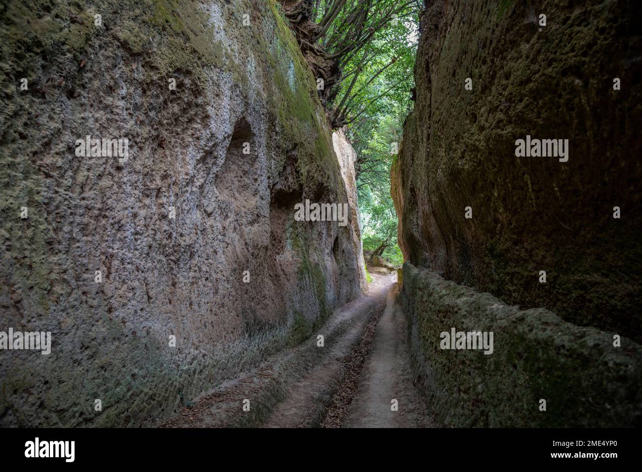 Stone under tree hi-res stock photography and images - Alamy