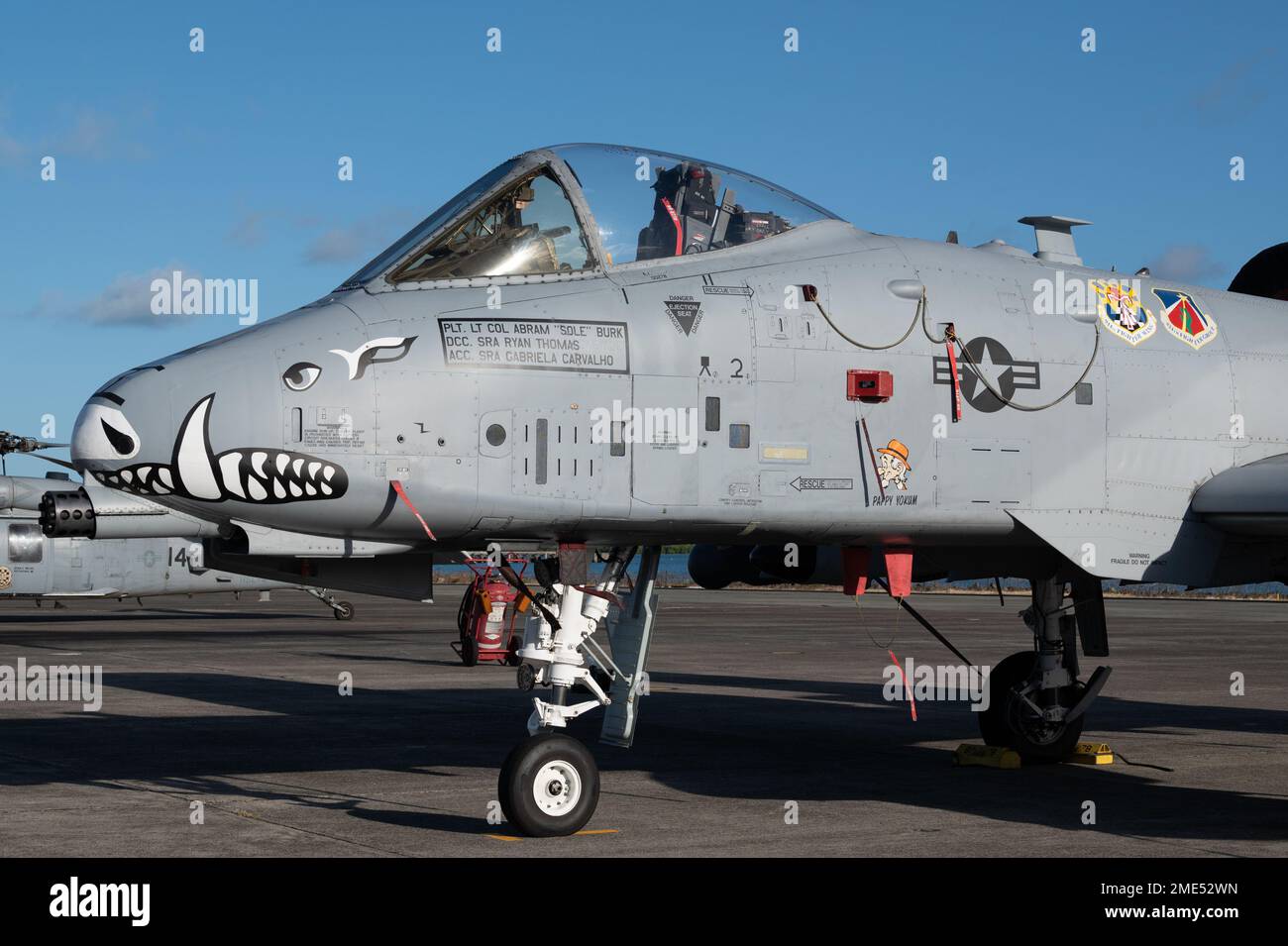 More than 200 Airmen and 10 A-10 Thunderbolt II Warthogs from the 924th ...