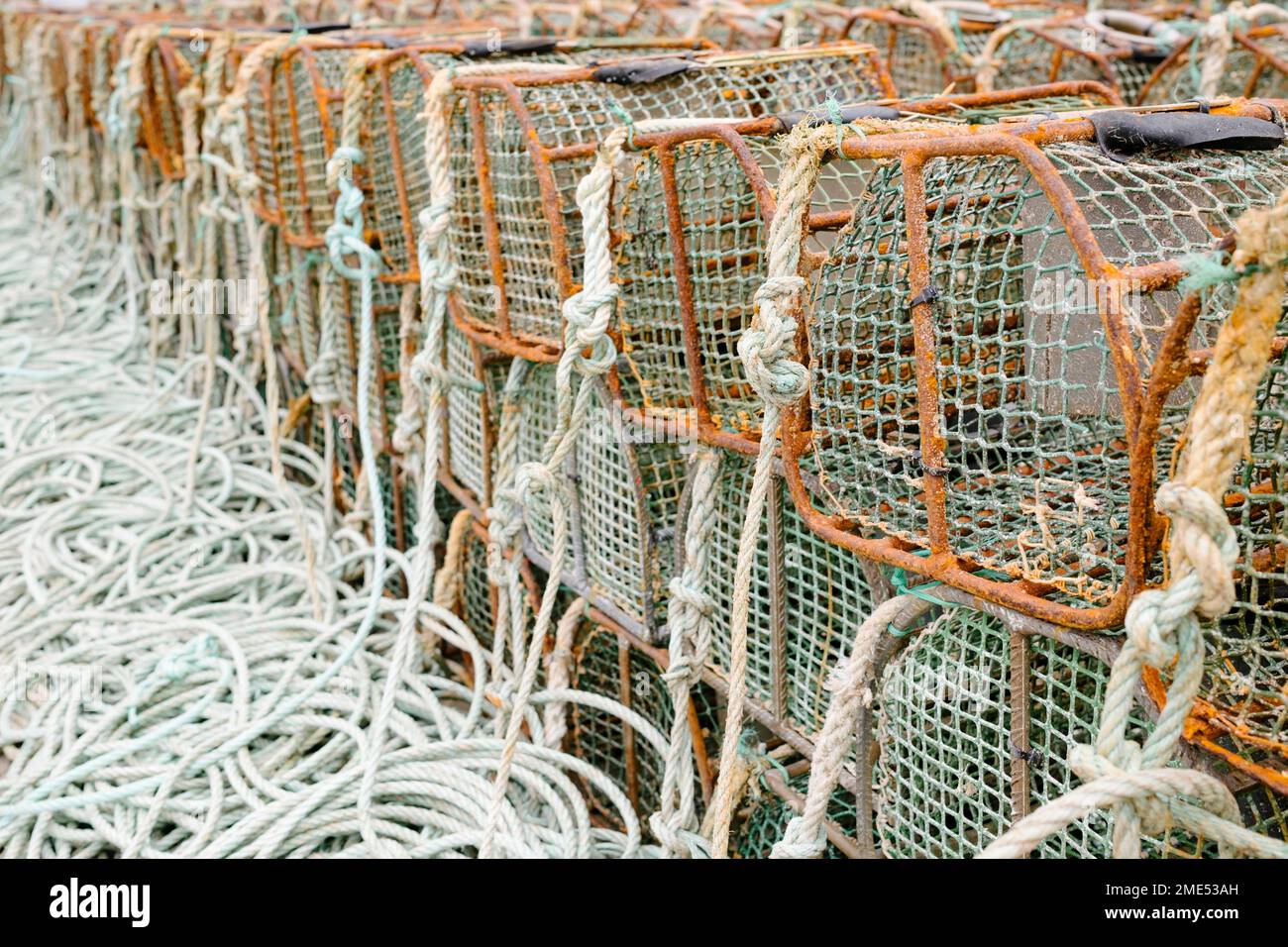 Stack of shellfish cages arranged in row Stock Photo - Alamy