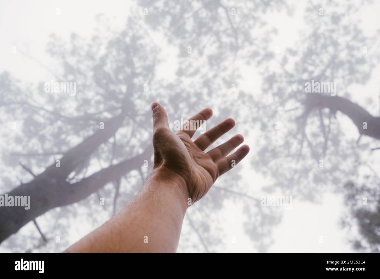 Rising hand hi-res stock photography and images - Alamy