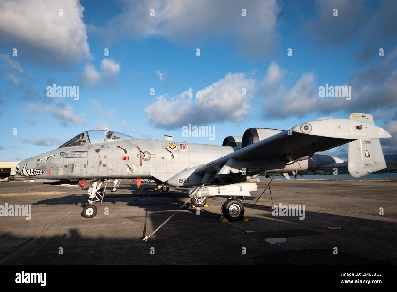 More than 200 Airmen and 10 A-10 Thunderbolt II Warthogs from the 924th ...