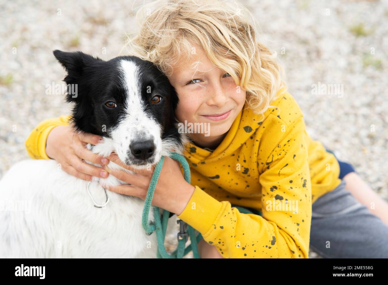 Happy blond boy embracing Border Collie dog Stock Photo - Alamy