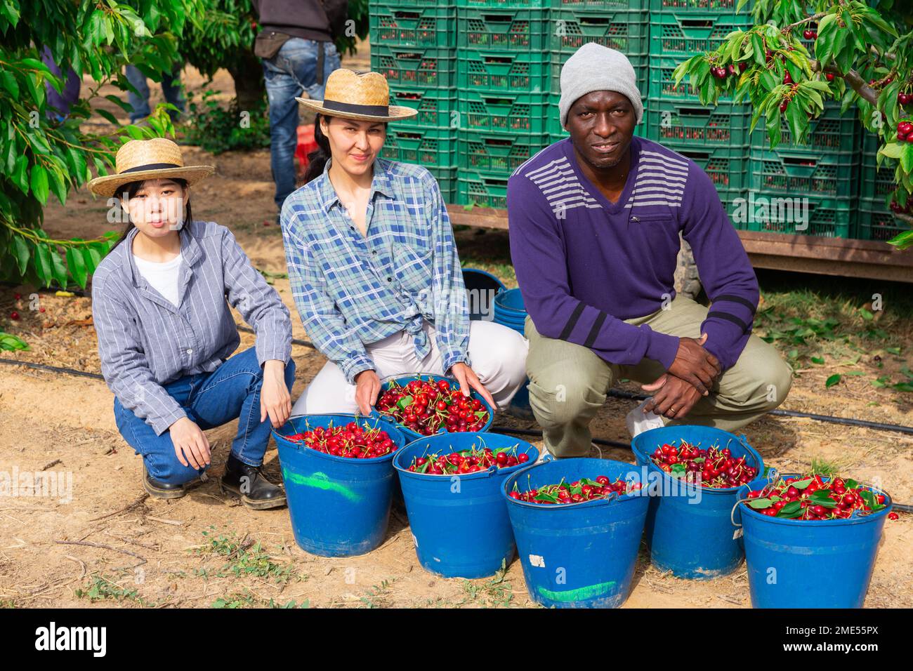 Portrait of international group of smiling farm workers Stock Photo - Alamy
