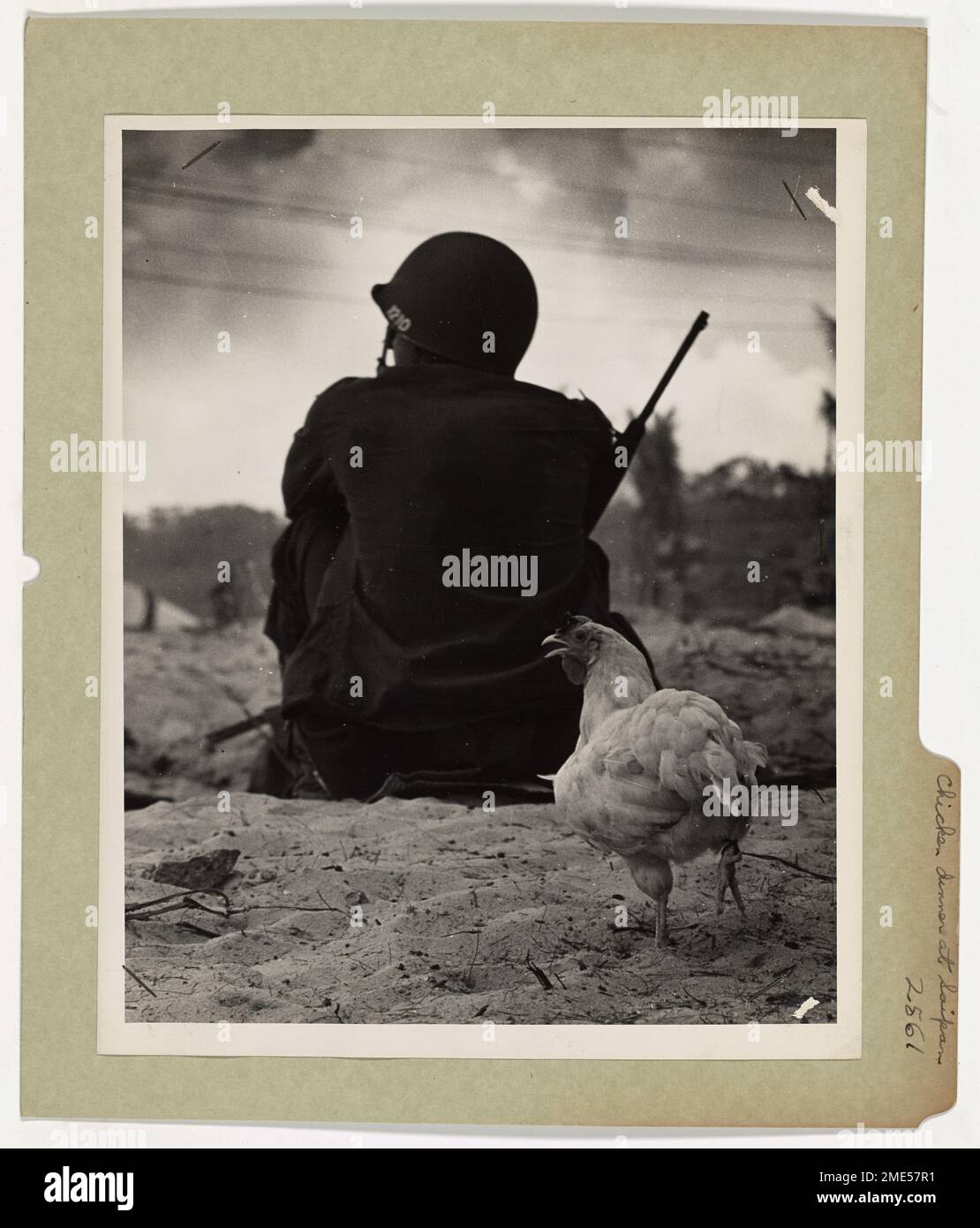 A Coast Guardsman on Saipan surveys the beach while securing a chicken ...