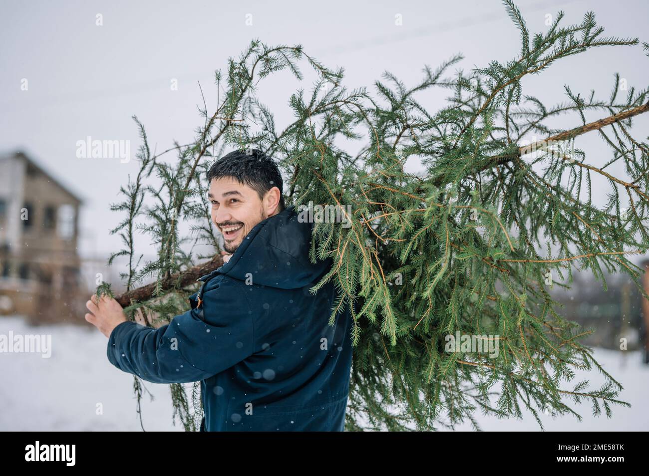 Man holding fir tree hi-res stock photography and images - Alamy