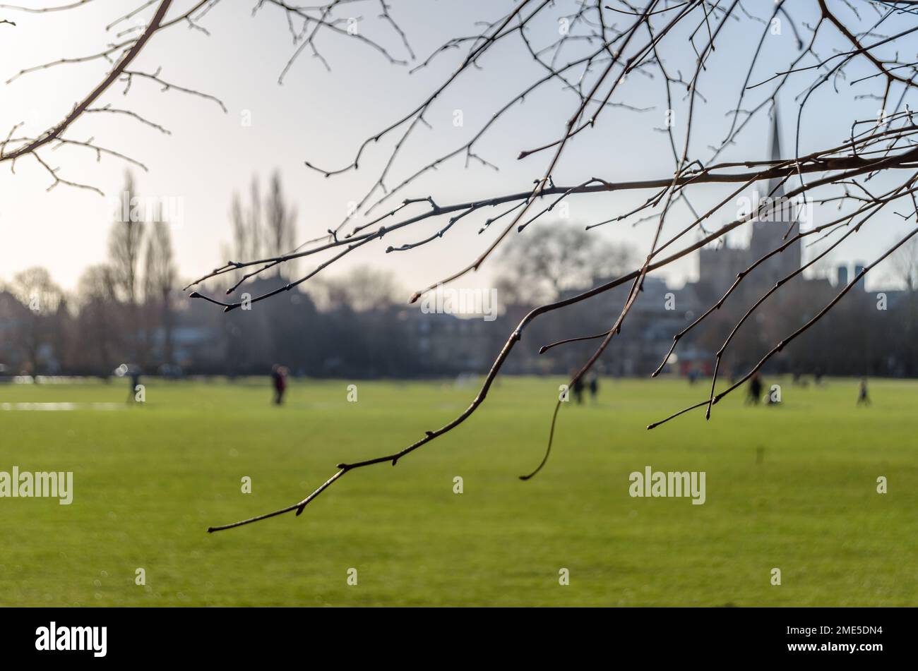 View of a green park in Cambridge, England, UK Stock Photo - Alamy