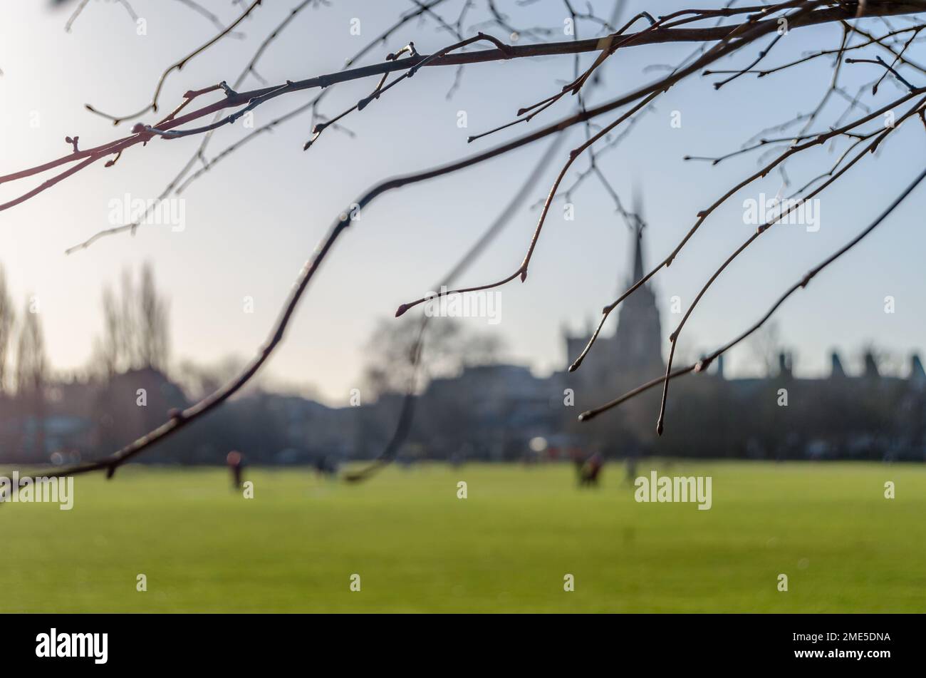 View of a green park in Cambridge, England, UK Stock Photo - Alamy