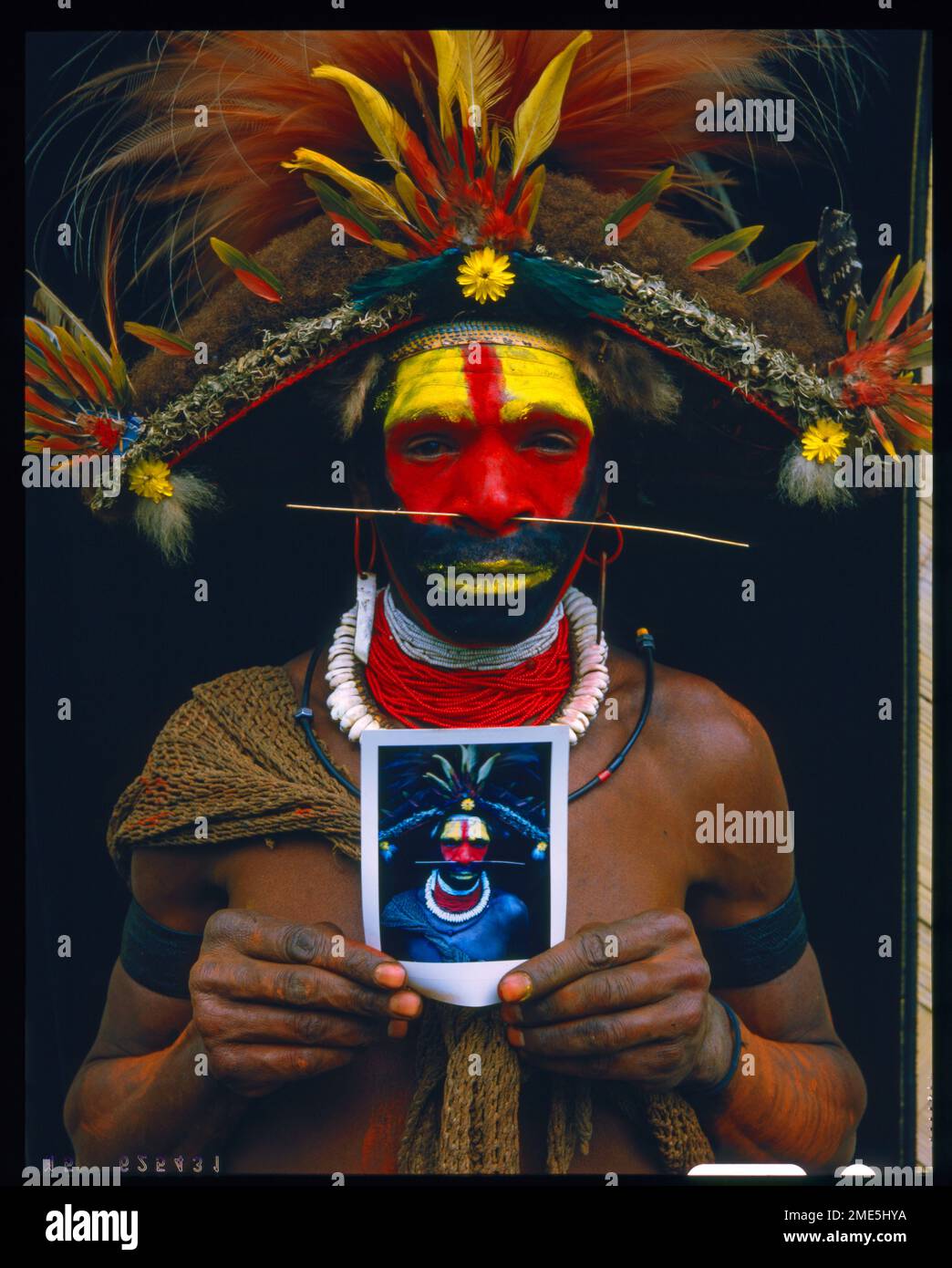 A Huli warrior in traditional human hair wig adorned with Bird of ...