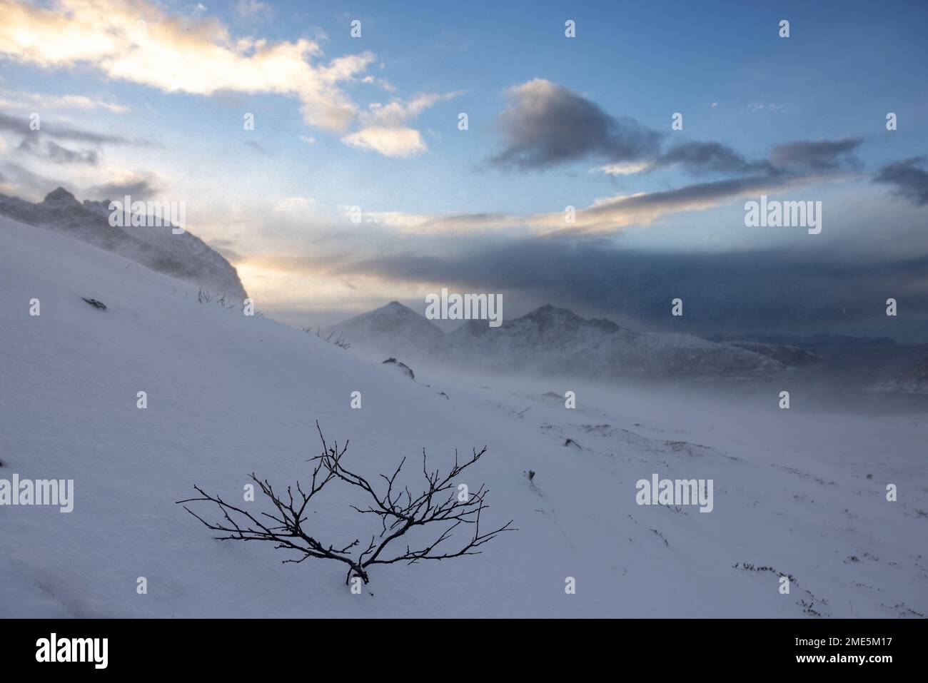 snow is blown by a wind gust Stock Photo - Alamy