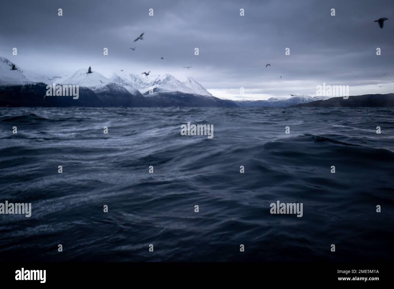 view of the norwegian sea in winter from a small boat Stock Photo - Alamy