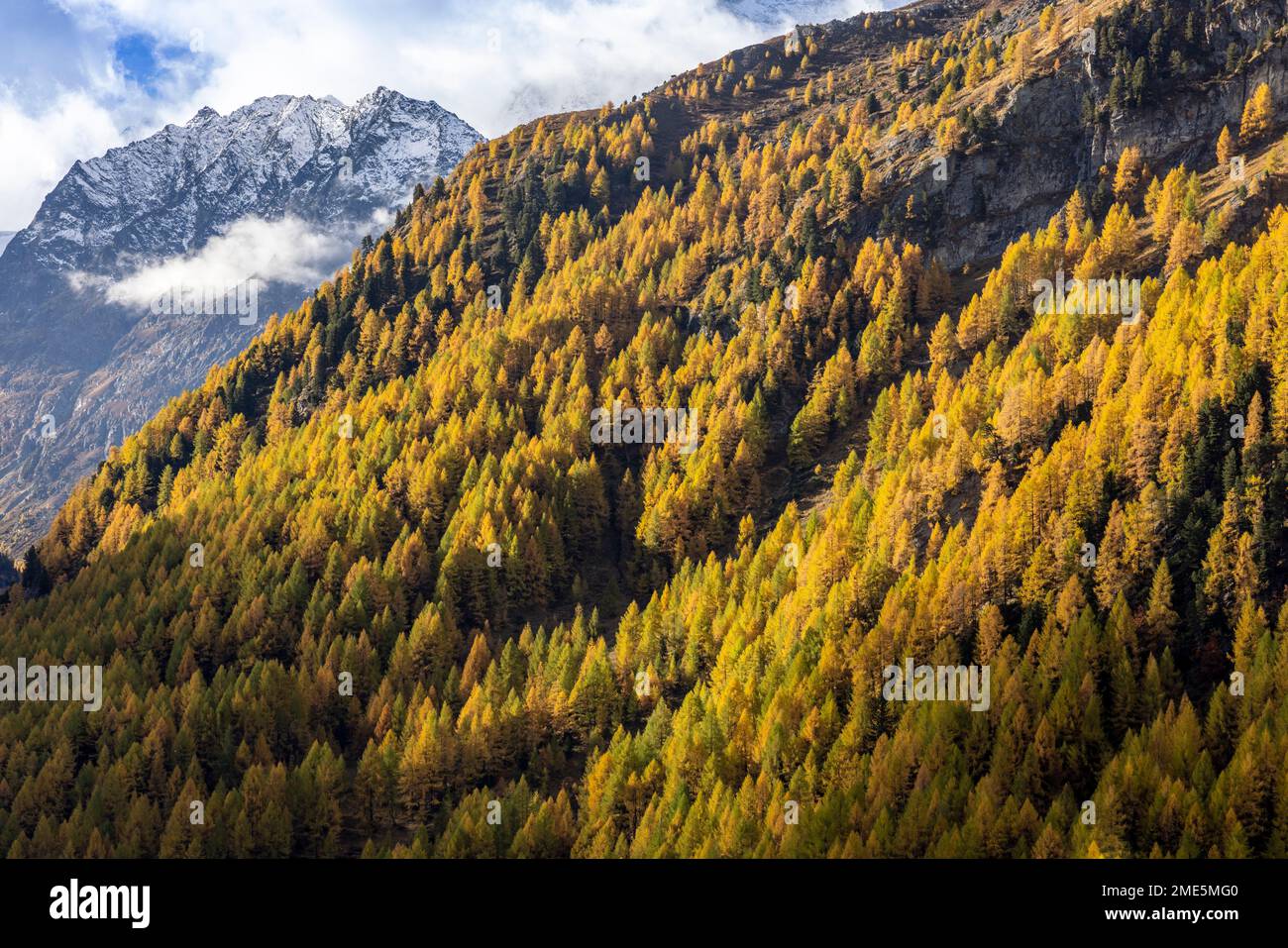 Swiss alpine landscape in autumn Stock Photo - Alamy