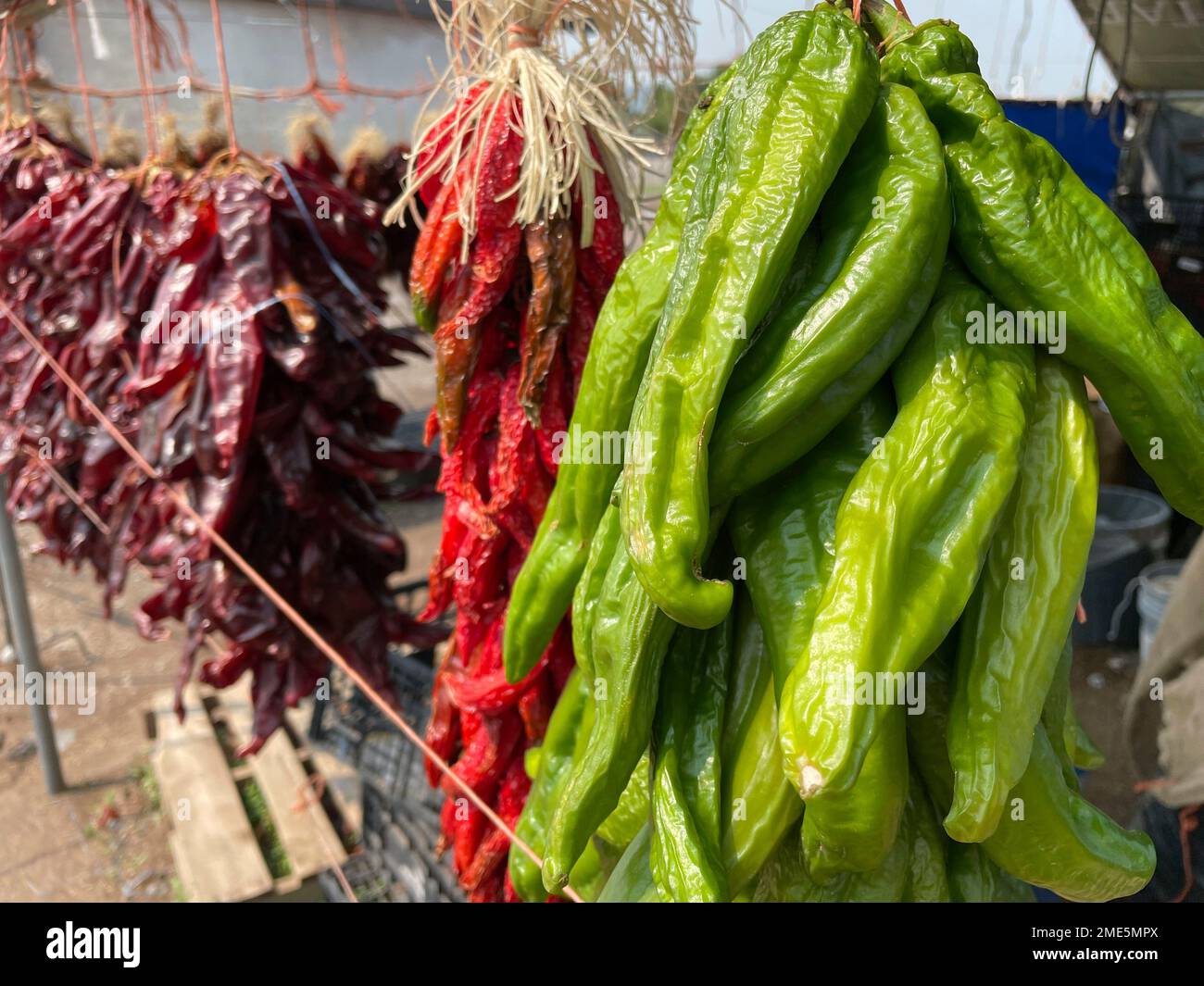 This July 12, 2021 image shows green and red chile ristras on display ...