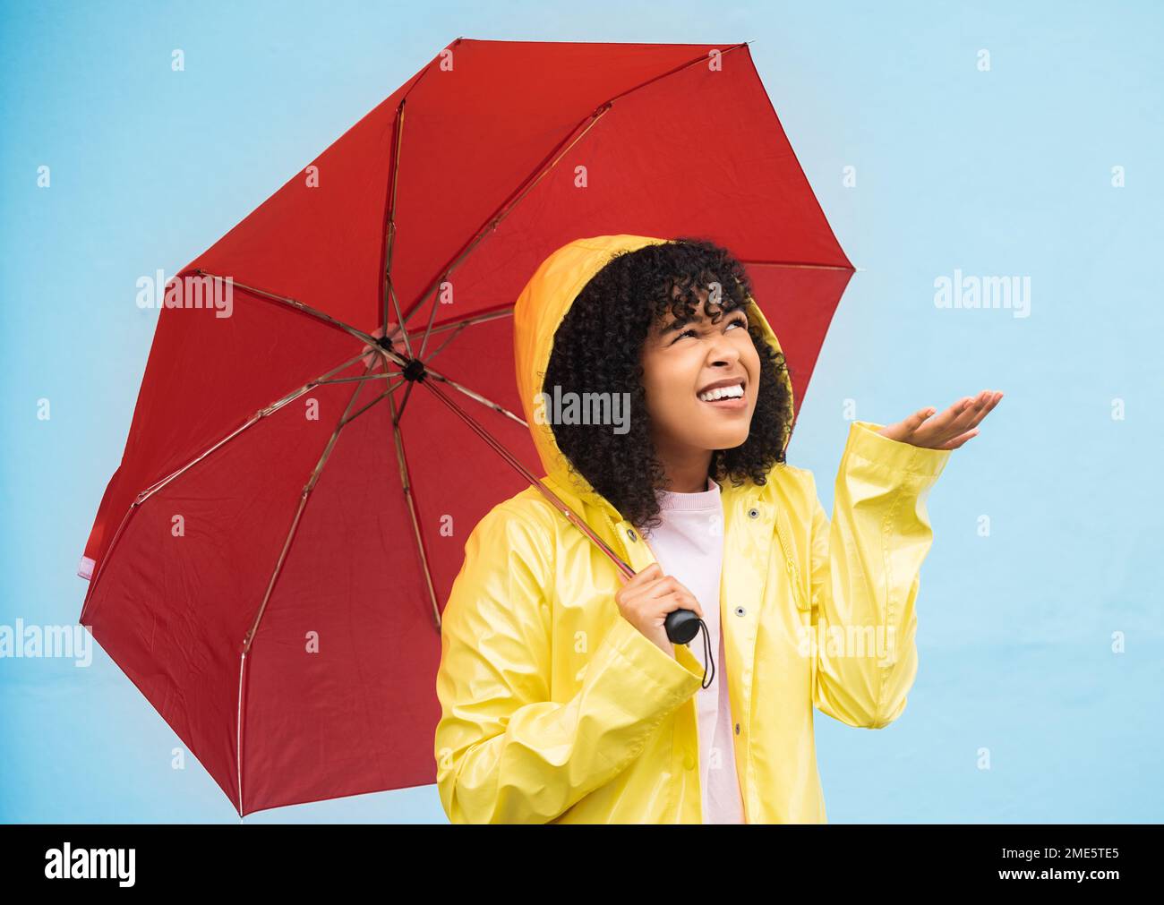 Black woman, umbrella or hand checking for rain on isolated blue ...