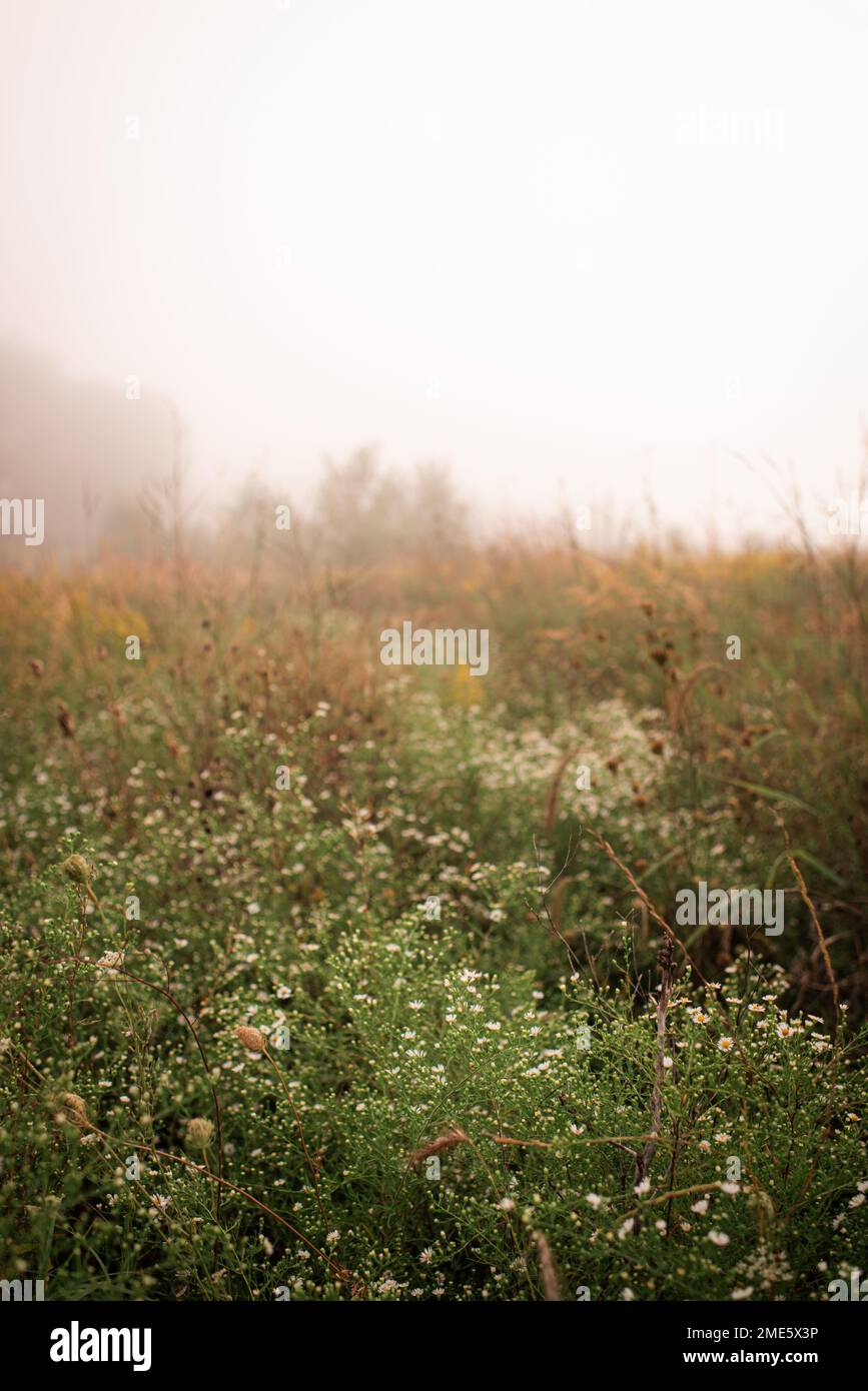 Wild Tumblr Photography