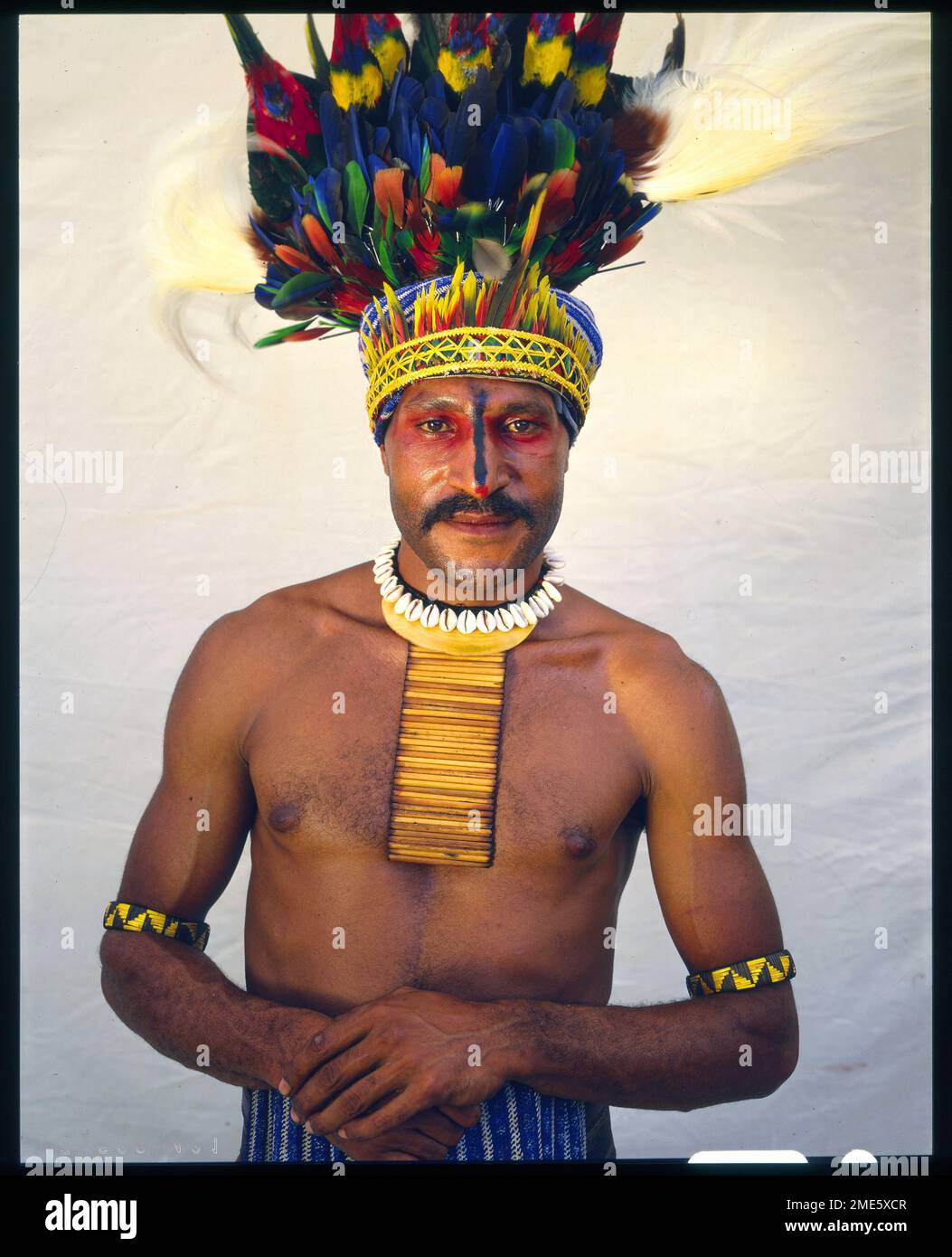 Chest plumes hi-res stock photography and images - Alamy