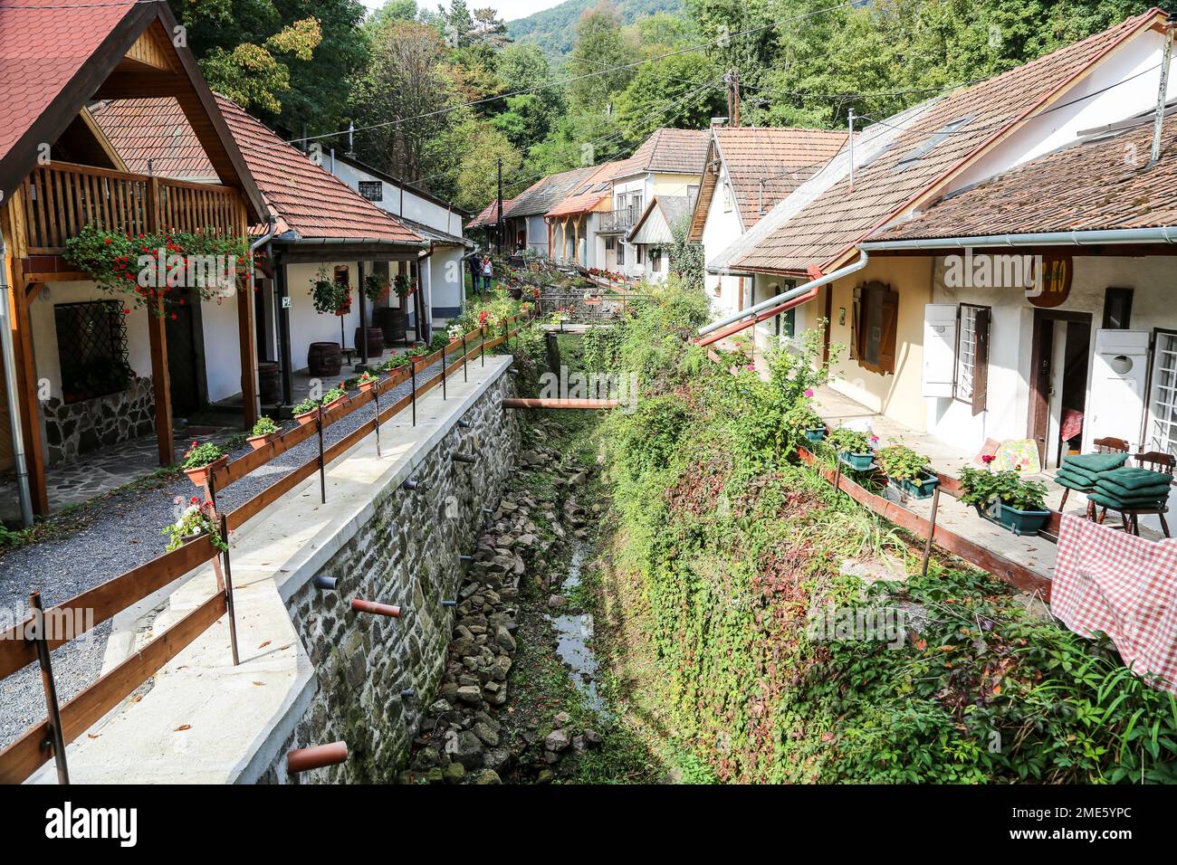 Zsólyomka cellars in the Tokaj region Stock Photo - Alamy