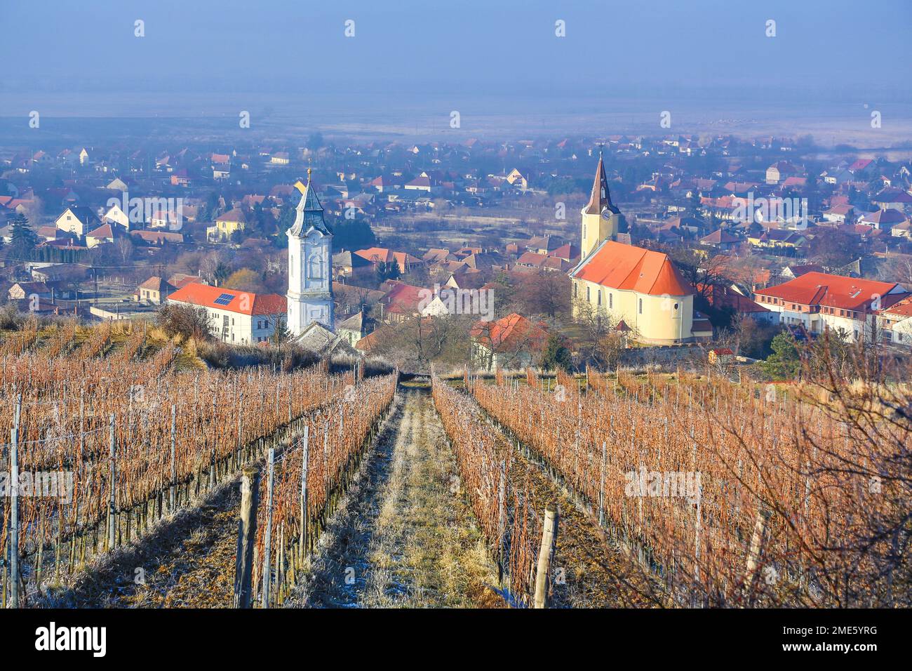 Tarcal in tokaj in vineyard hi-res stock photography and images - Alamy