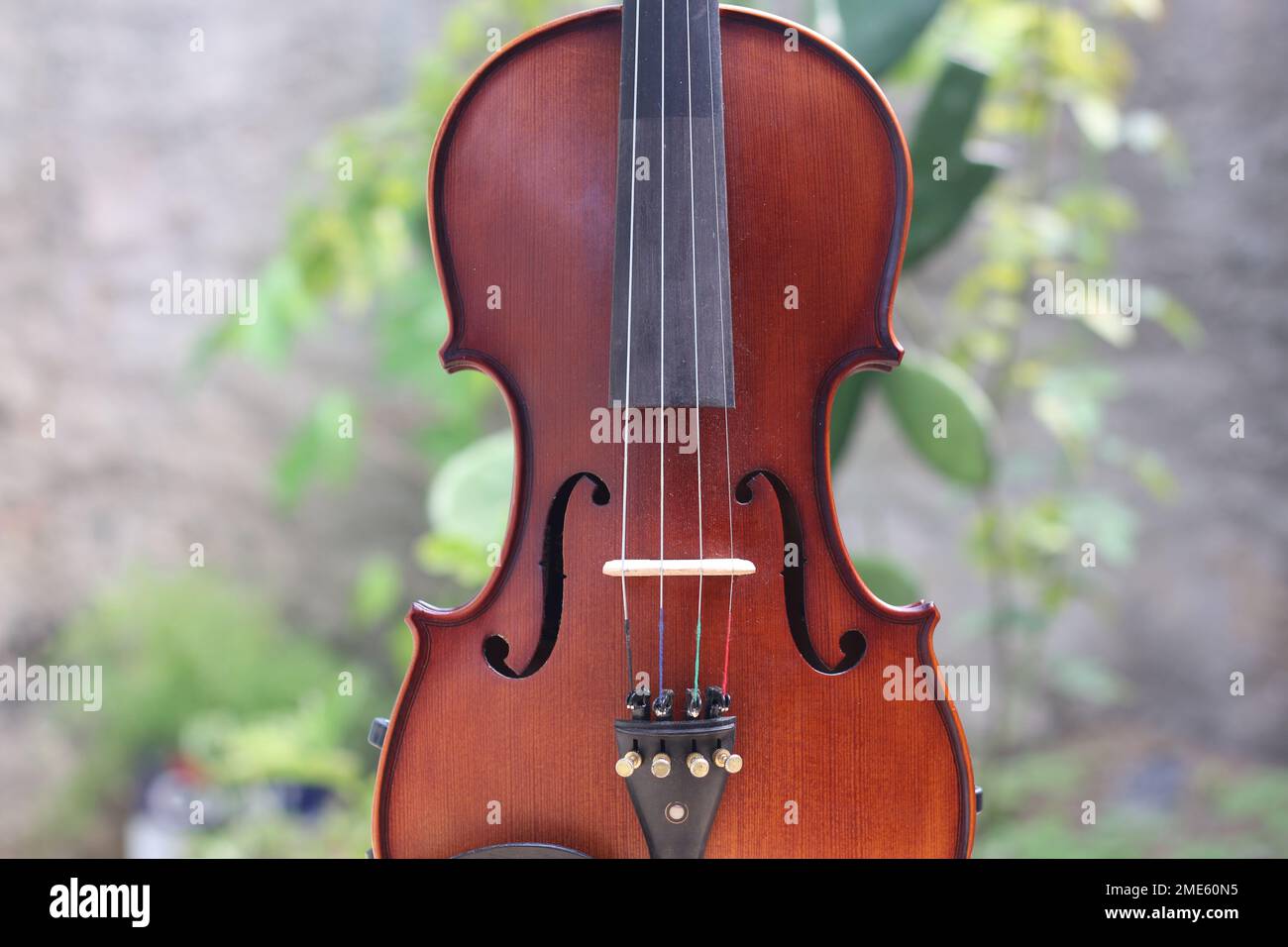 Wooden violin body in brown color Stock Photo - Alamy