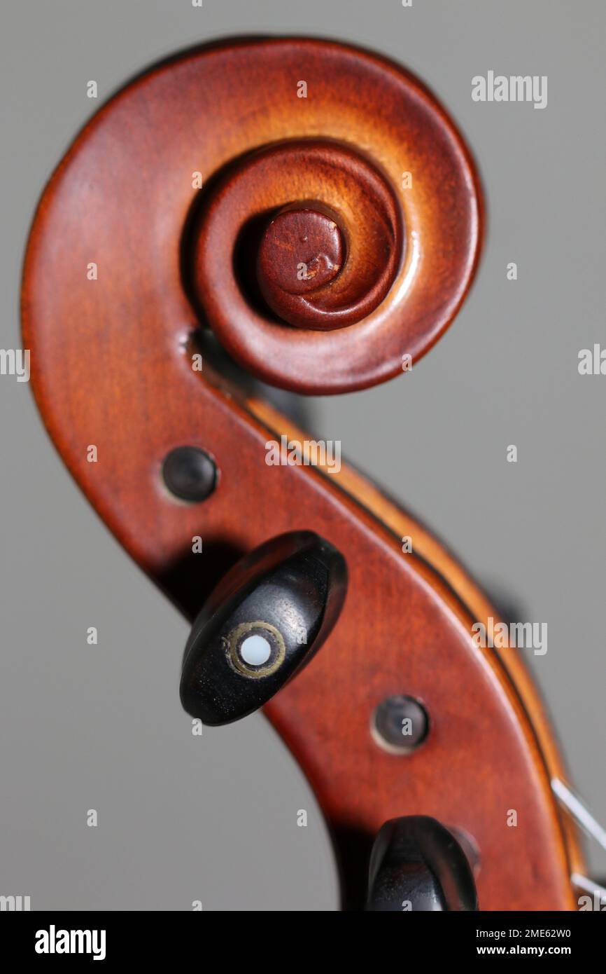 Wooden violin head in brown color Stock Photo - Alamy