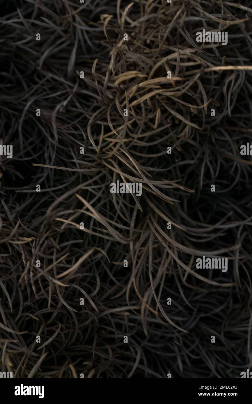 Abstract gray brown wavy texture Stock Photo - Alamy