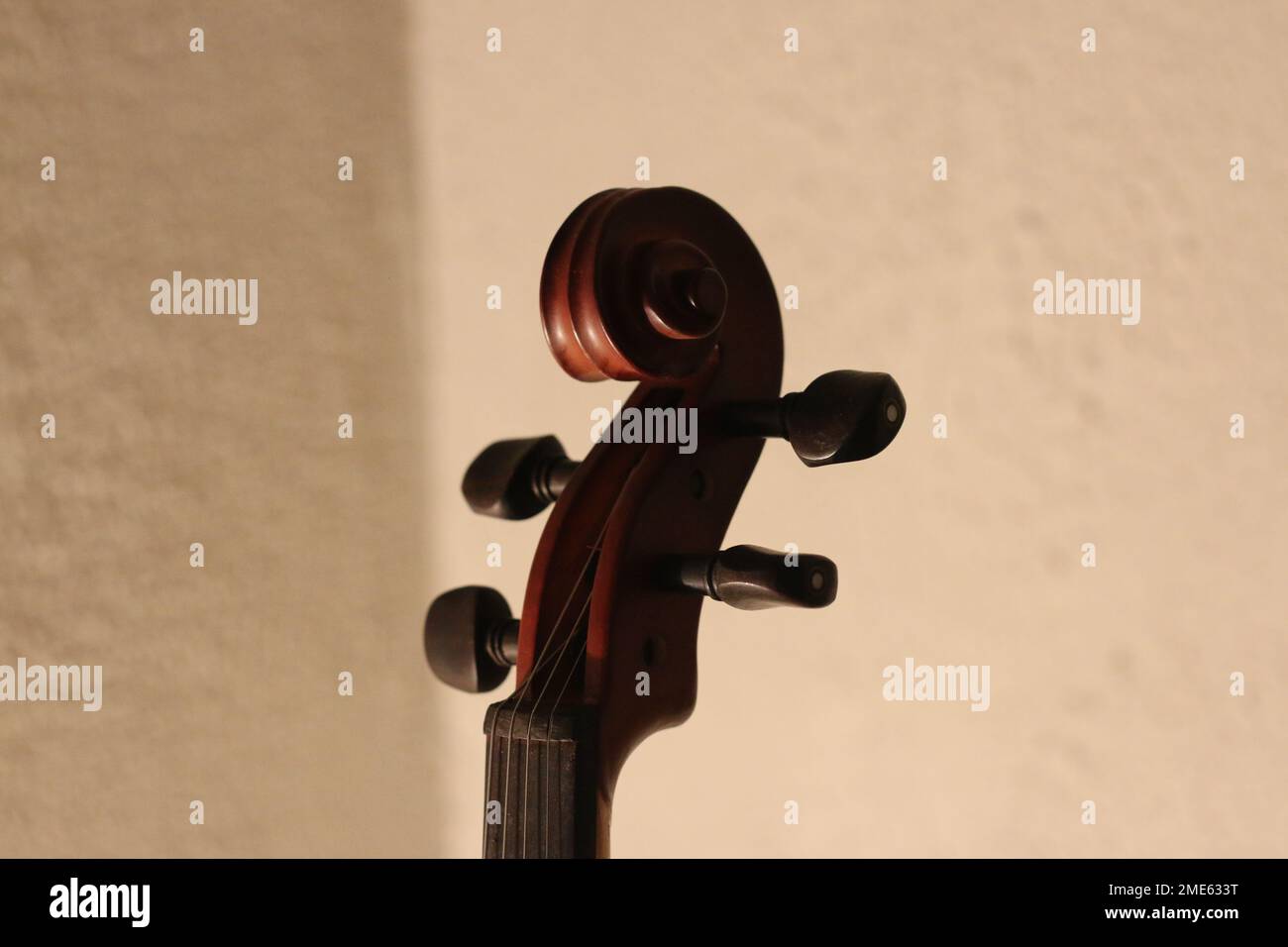 Wooden violin head in brown color Stock Photo - Alamy