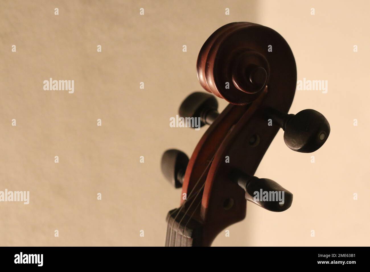 Wooden violin head in brown color Stock Photo - Alamy