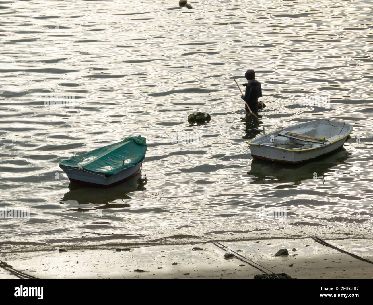 A clam collector in the water with boats on either side in A Coruna ...
