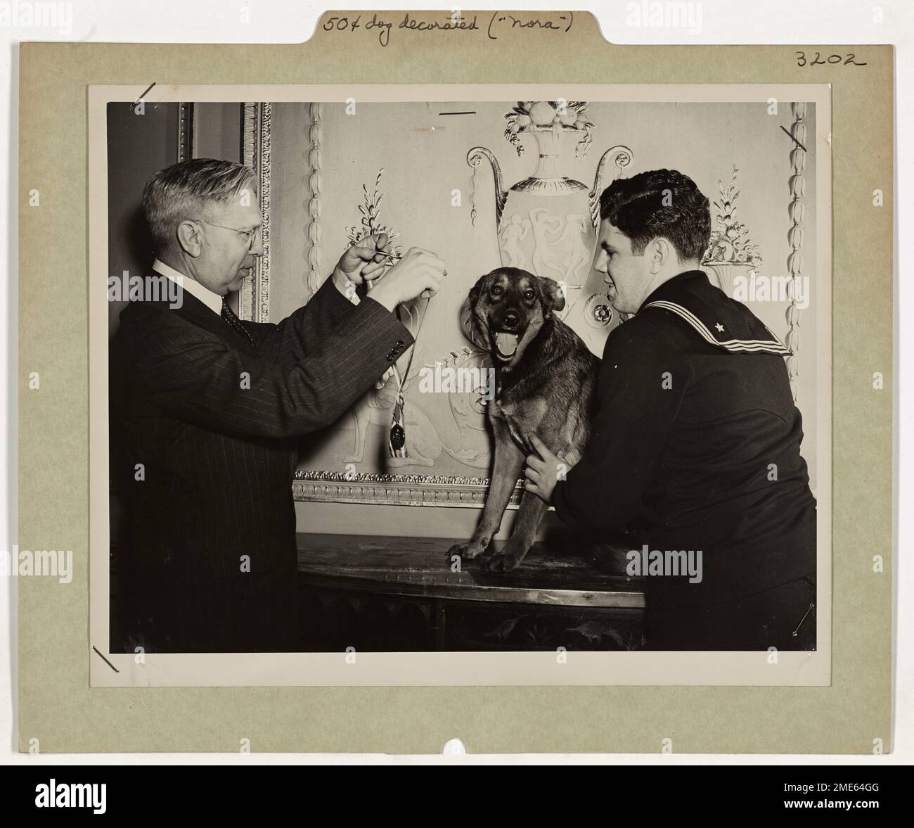 50-cent Coast Guard Dog Decorated by S.P.C.A.. "Nora," a German ...