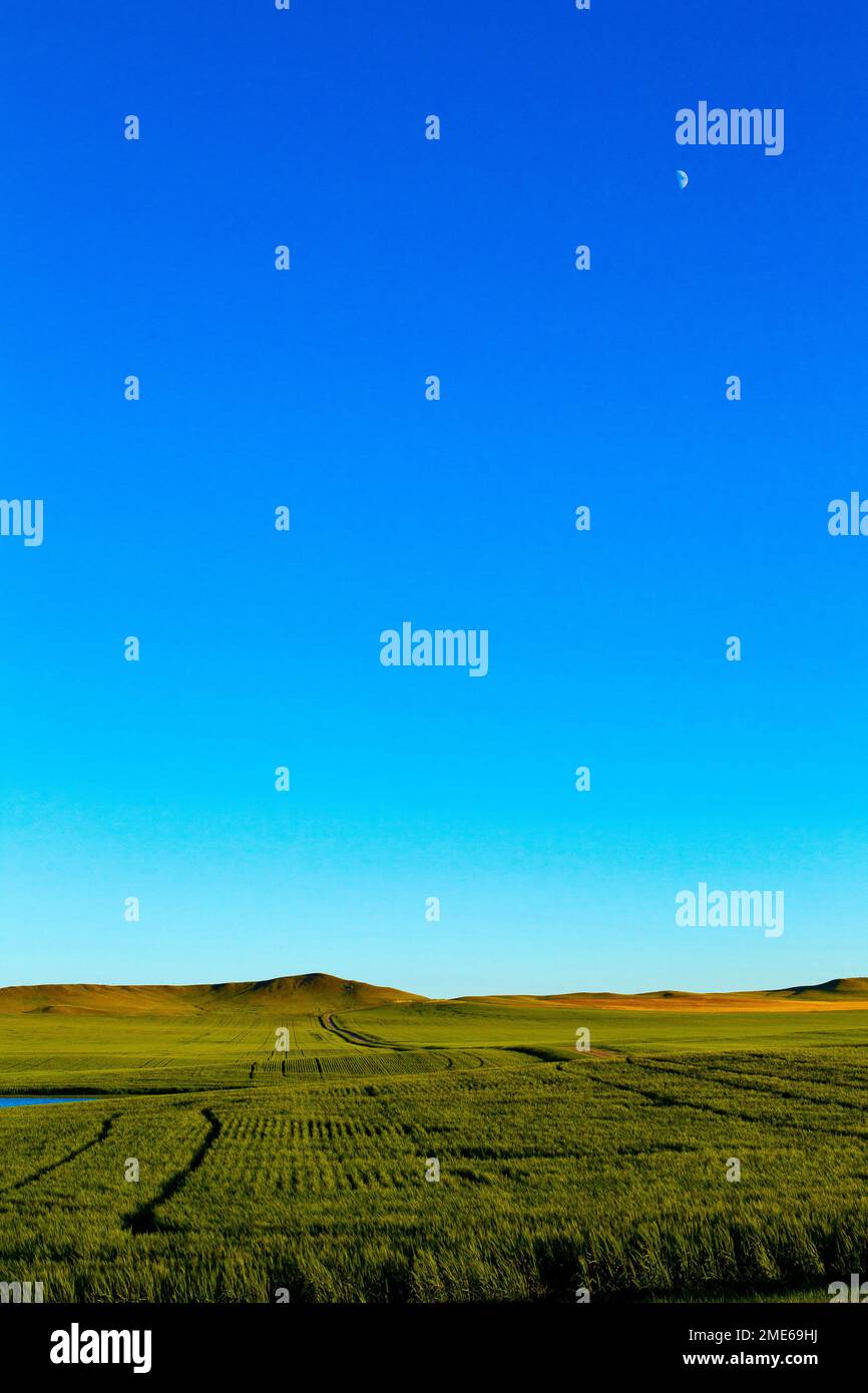 Montana field and hills hi-res stock photography and images - Alamy