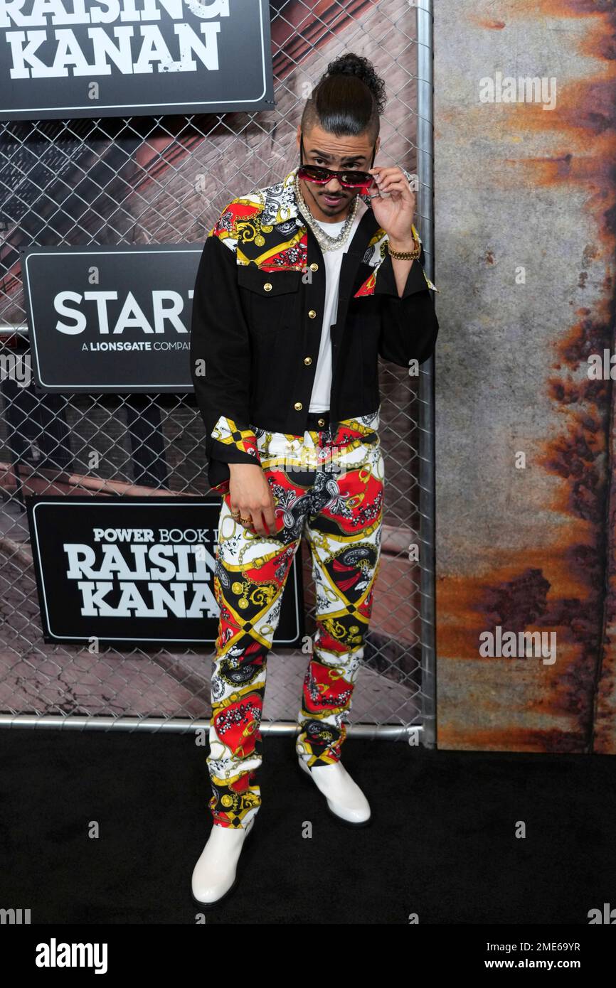 Quincy Brown attends the world premiere of "Power Book III: Raising ...