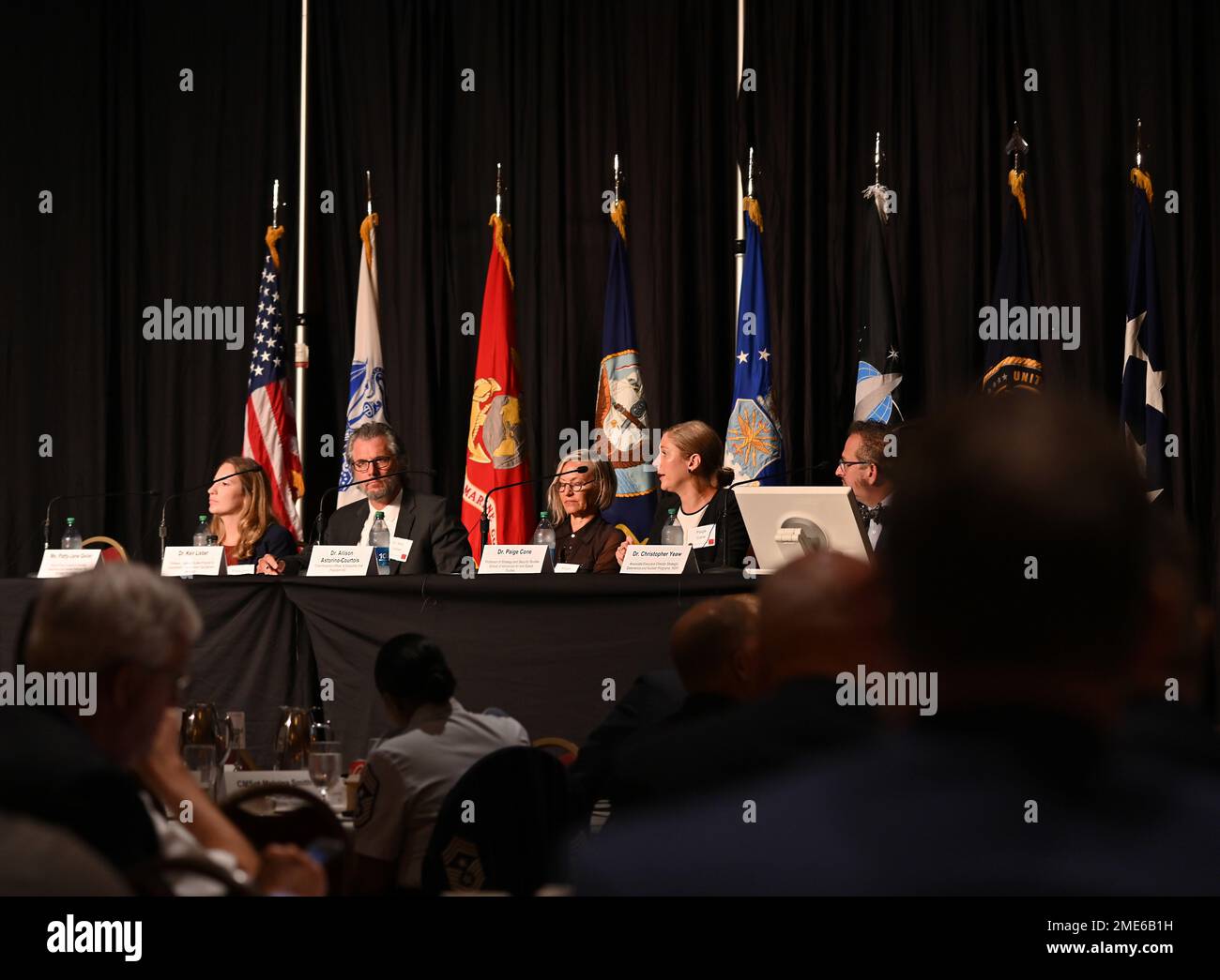 Allison paige hi-res stock photography and images - Alamy