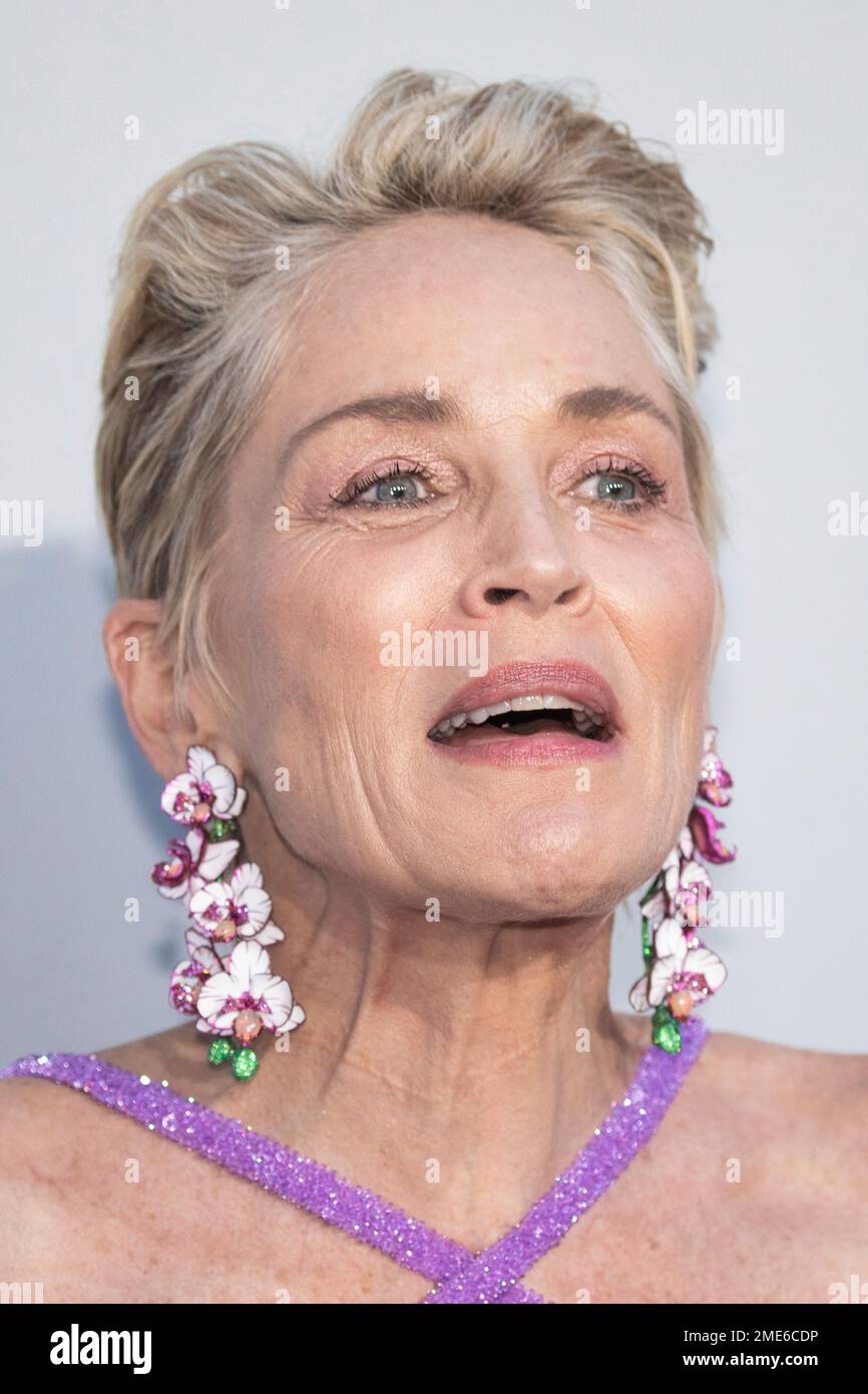 Sharon Stone poses for photographers upon arrival at the amfAR Cinema ...