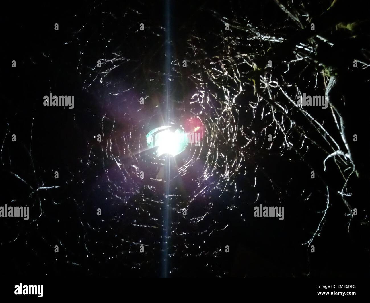 Light through spider web hi-res stock photography and images - Alamy